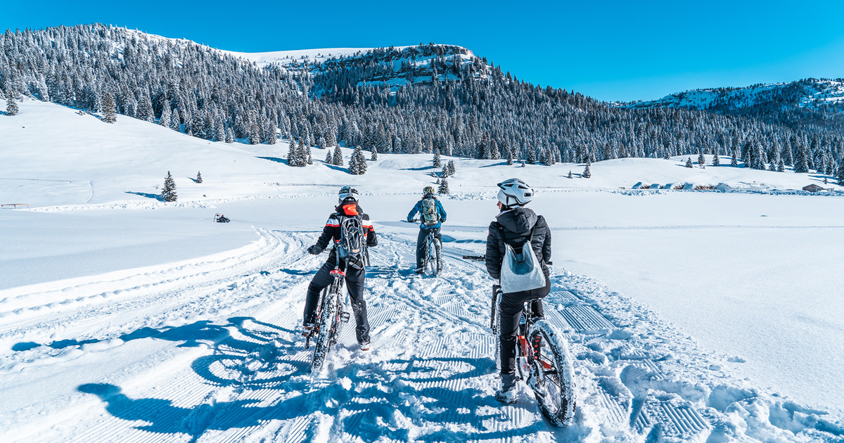 Fat Bike Rent